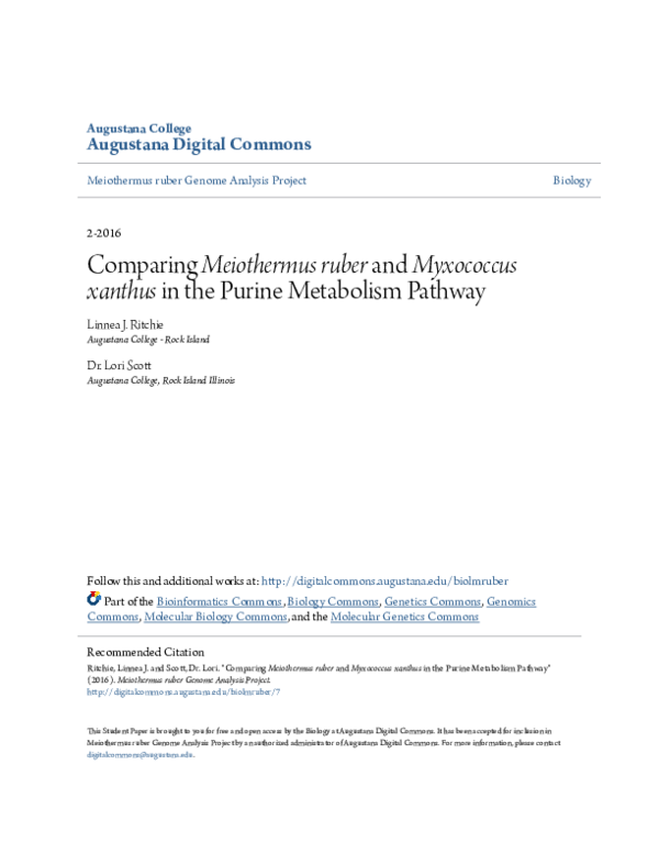 (PDF) Comparing Meiothermus ruber and Myxococcus xanthus in the Purine ...