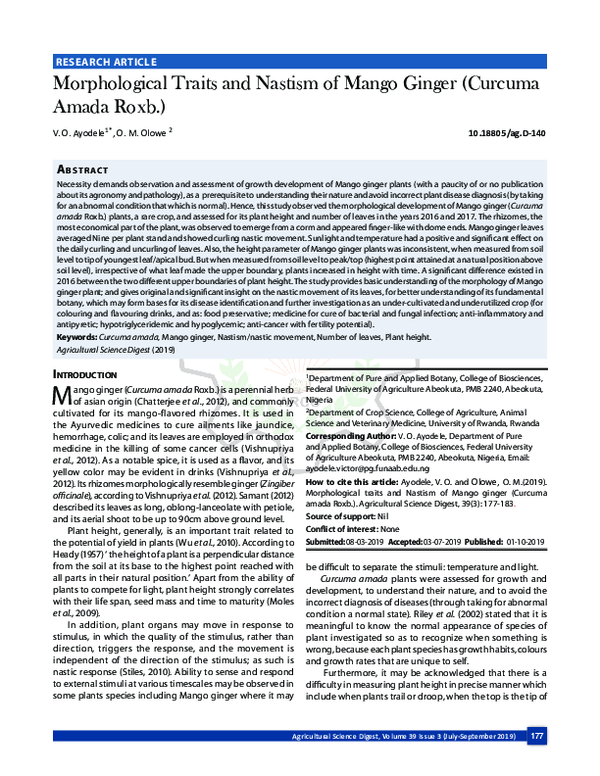 (PDF) Morphological traits and Nastism of Mango ginger (Curcuma amada ...