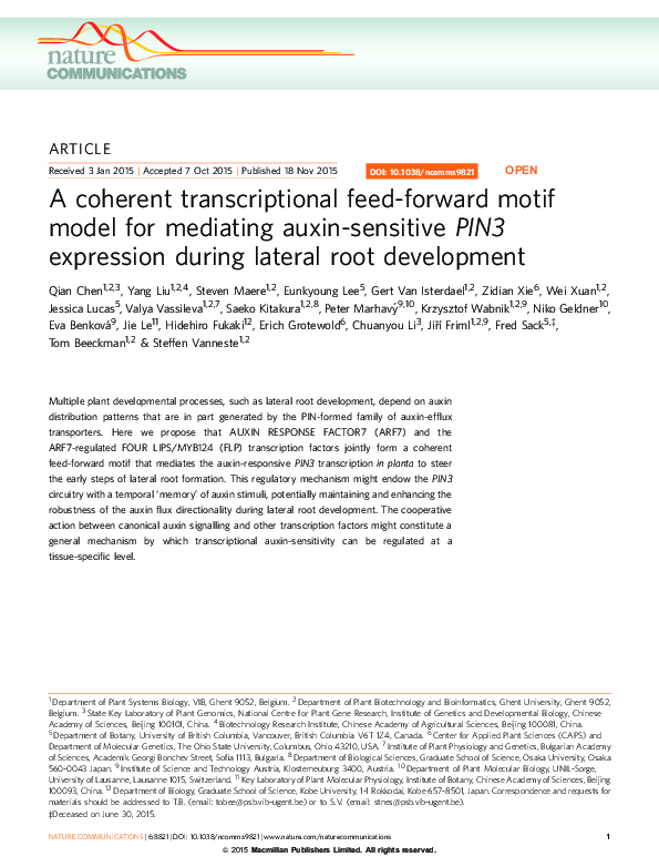 (PDF) A coherent transcriptional feed-forward motif model for mediating ...