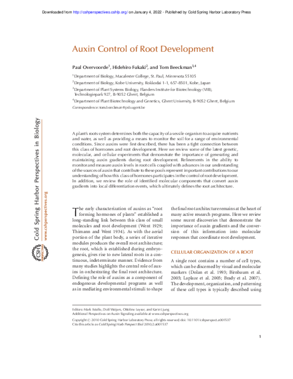 (PDF) Auxin Control of Root Development | Tom Beeckman - Academia.edu