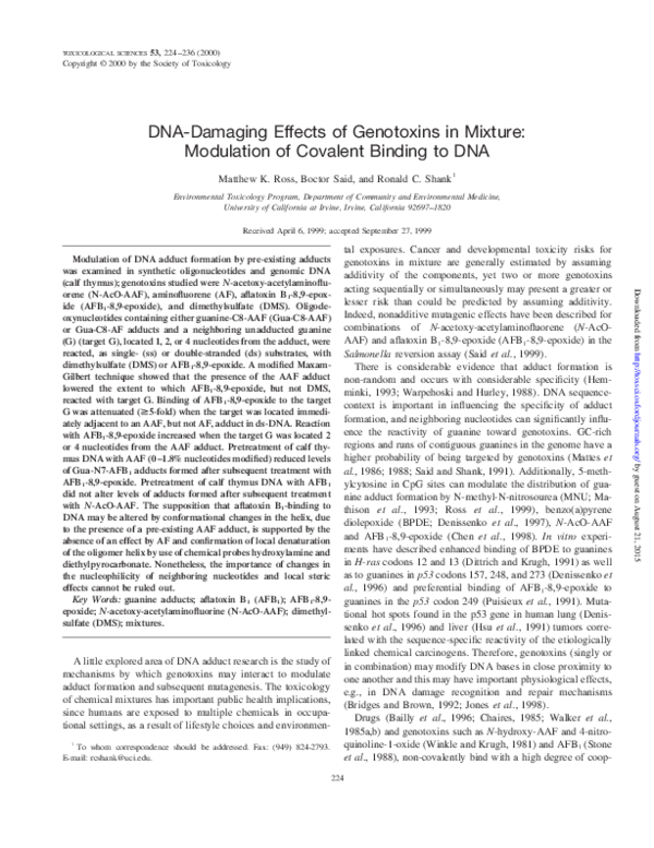 (PDF) DNA-damaging effects of genotoxins in mixture: modulation of ...