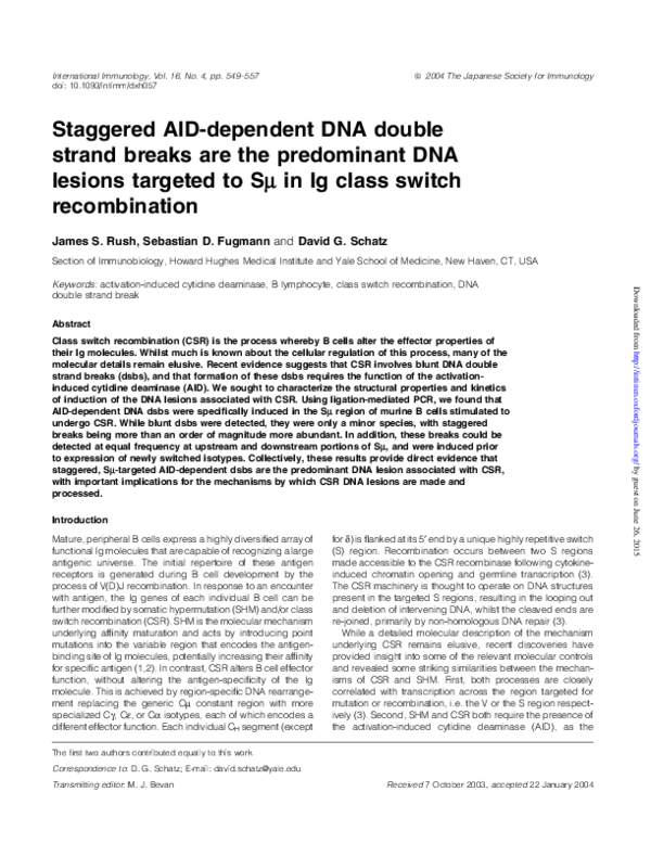 (PDF) Staggered AID-dependent DNA double strand breaks are the ...