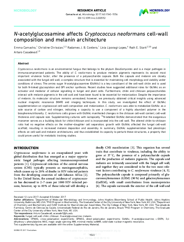 (PDF) N-acetylglucosamine affects Cryptococcus neoformans cell-wall ...