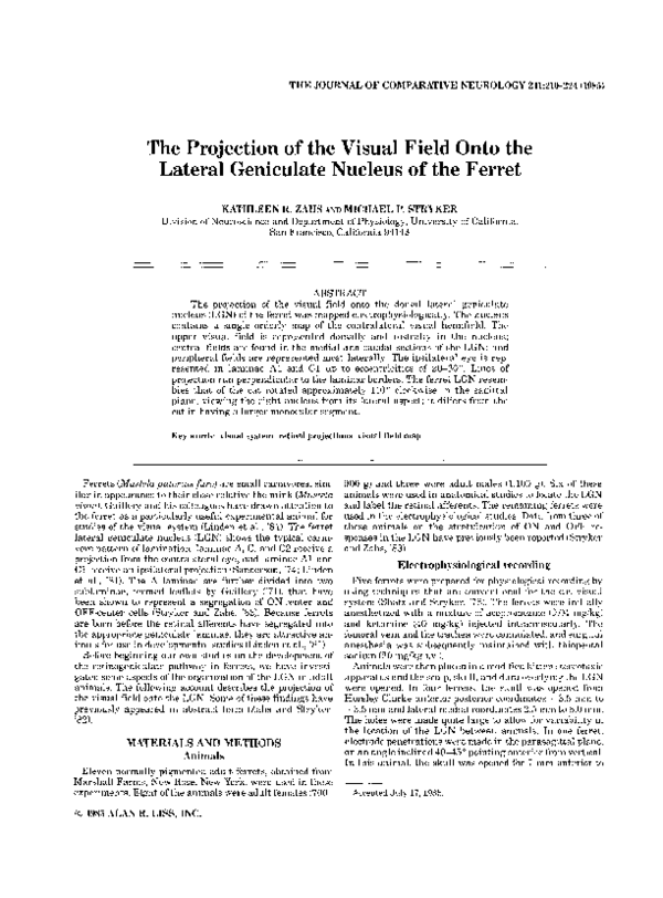 (PDF) The projection of the visual field onto the lateral geniculate ...