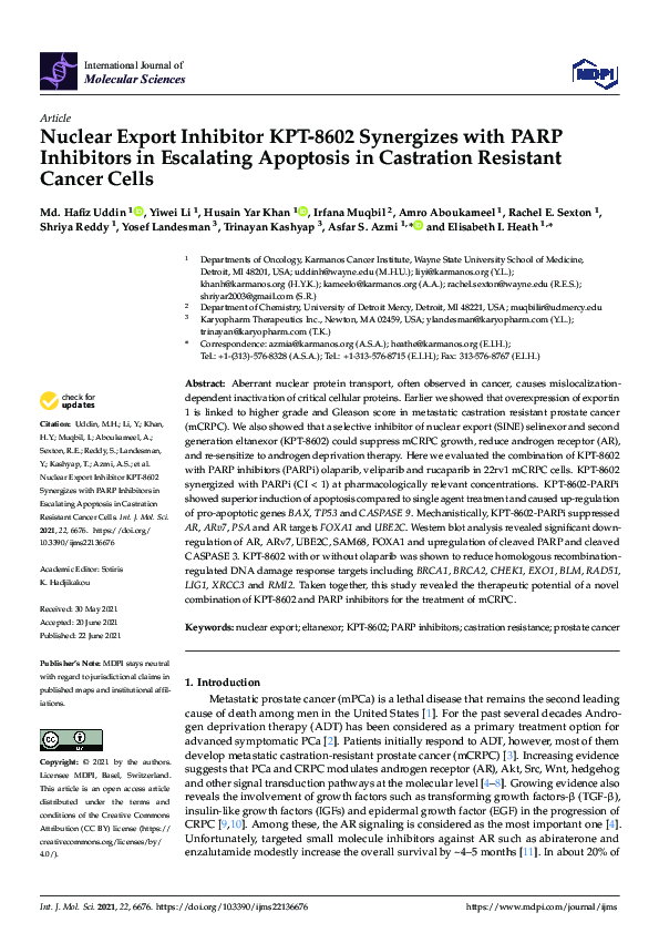 (PDF) Nuclear Export Inhibitor KPT-8602 Synergizes with PARP Inhibitors ...