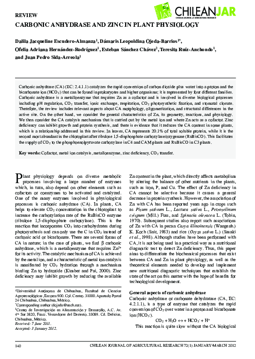 (PDF) Carbonic Anhydrase and Zinc in Plant Physiology