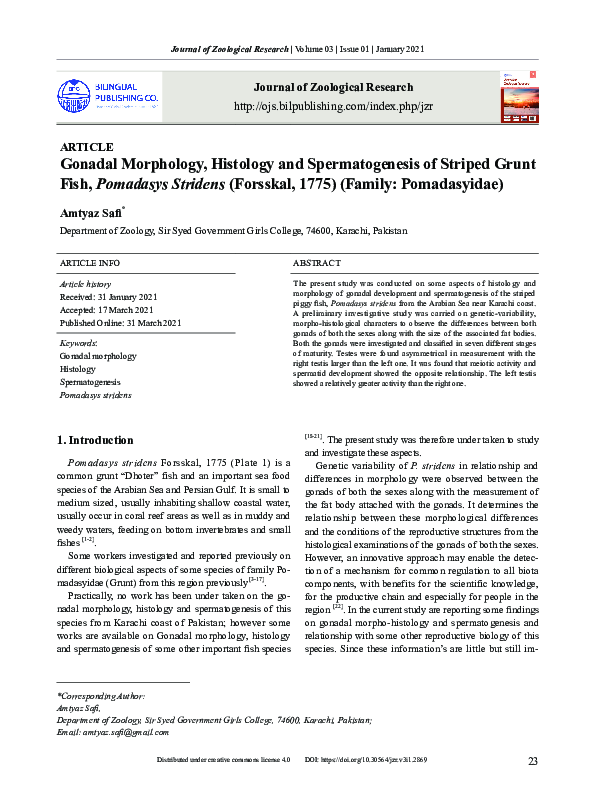(PDF) Gonadal Morphology, Histology and Spermatogenesis of Striped ...