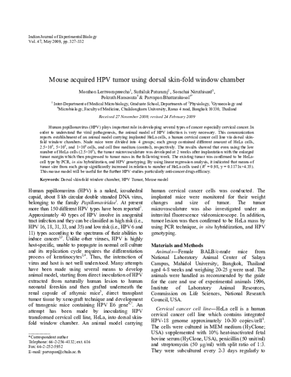(PDF) Mouse acquired HPV tumor using dorsal skin-fold window chamber ...