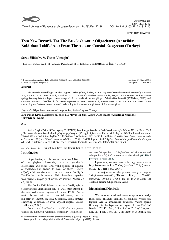 (PDF) Two New Records for the Brackish Water Oligochaeta (Annelida ...