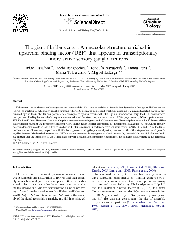 (PDF) The giant fibrillar center: A nucleolar structure enriched in ...