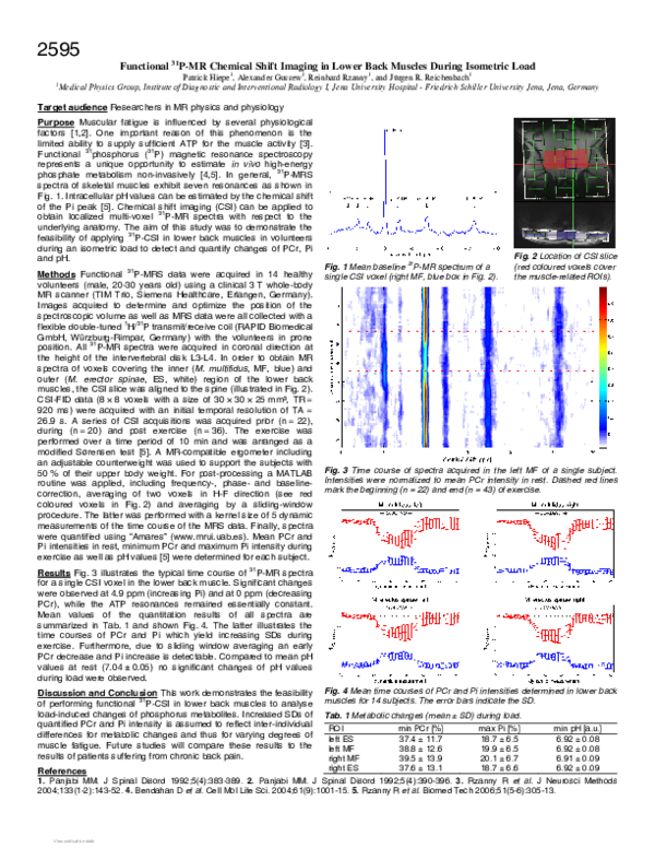 (PDF) Functional 31 PMR Chemical Shift Imaging in Lower Back Muscles ...