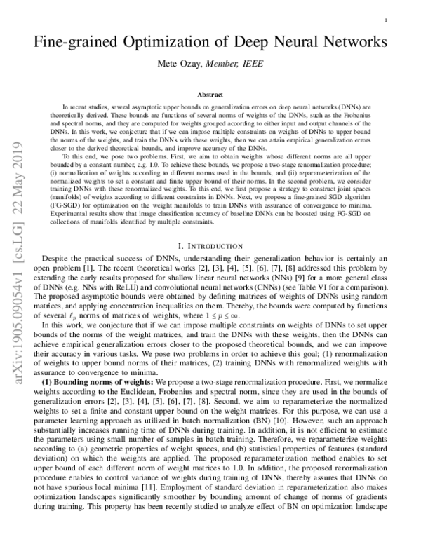 (PDF) Fine-grained Optimization of Deep Neural Networks