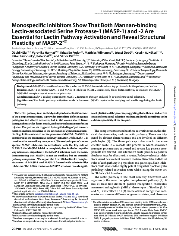 (PDF) Monospecific Inhibitors Show That Both Mannan-binding Lectin ...