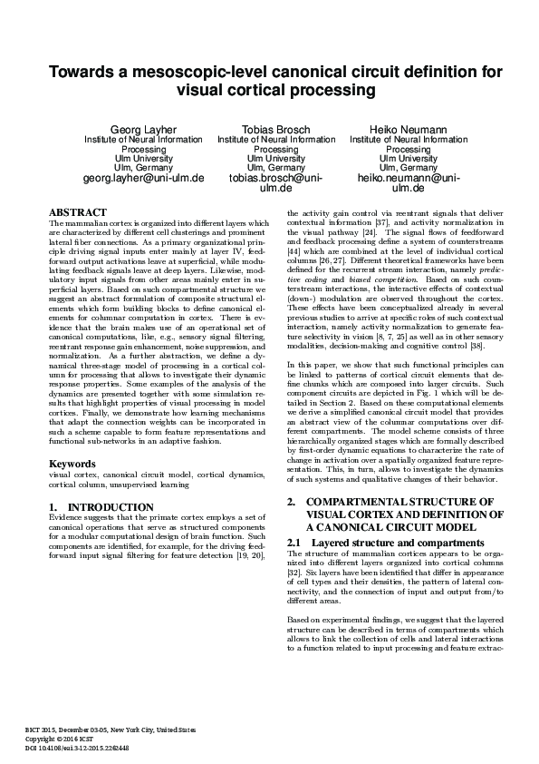 (PDF) Towards a mesoscopic-level canonical circuit definition for ...