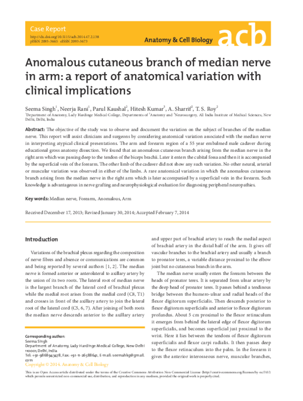 (PDF) Anomalous cutaneous branch of median nerve in arm: a report of ...