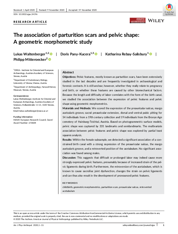 (PDF) The association of parturition scars and pelvic shape: A ...