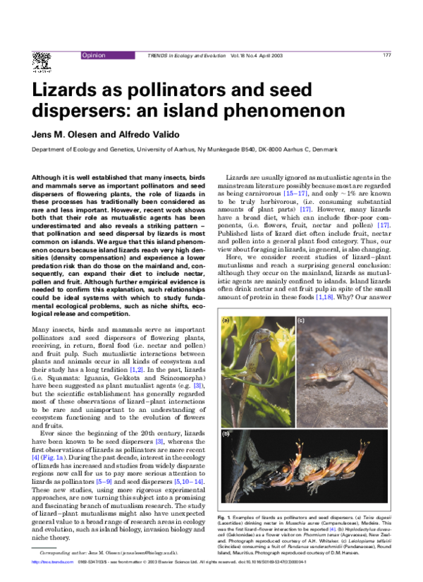 (PDF) Lizards as pollinators and seed dispersers: an island phenomenon
