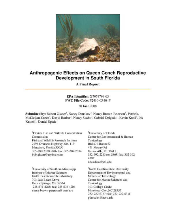 (PDF) Anthropogenic Effects on Queen Conch Reproductive Development in ...