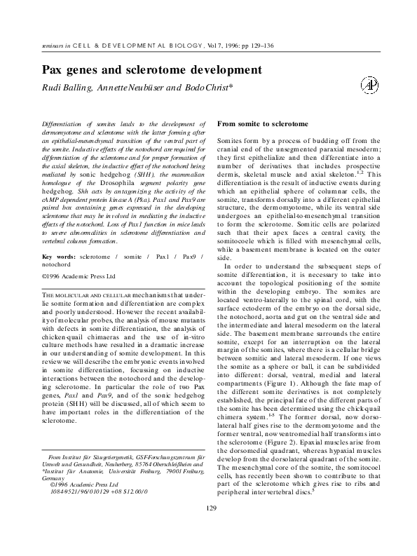(PDF) Pax genes and sclerotome development