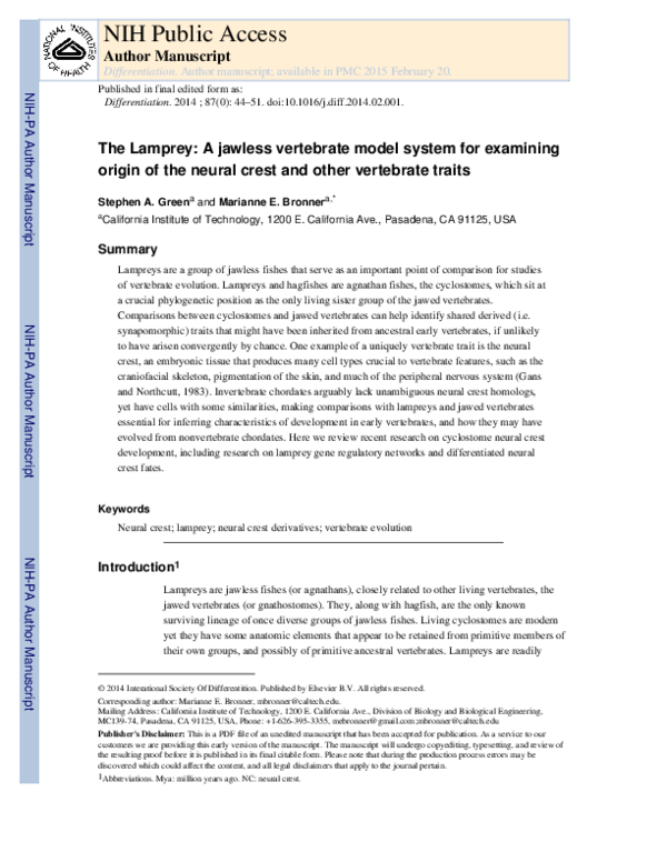 (PDF) The lamprey: A jawless vertebrate model system for examining ...
