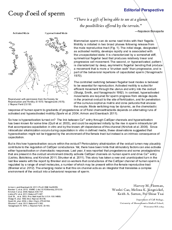 (PDF) Coup d'oeil of sperm
