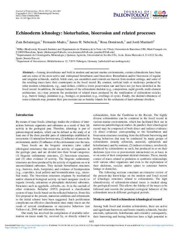 (PDF) Echinoderm ichnology: bioturbation, bioerosion and related processes
