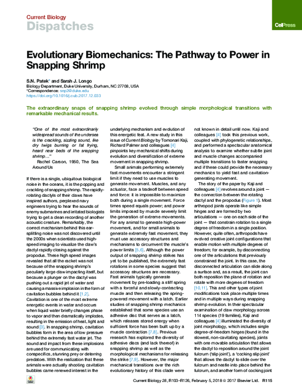 (PDF) Evolutionary Biomechanics: The Pathway to Power in Snapping Shrimp
