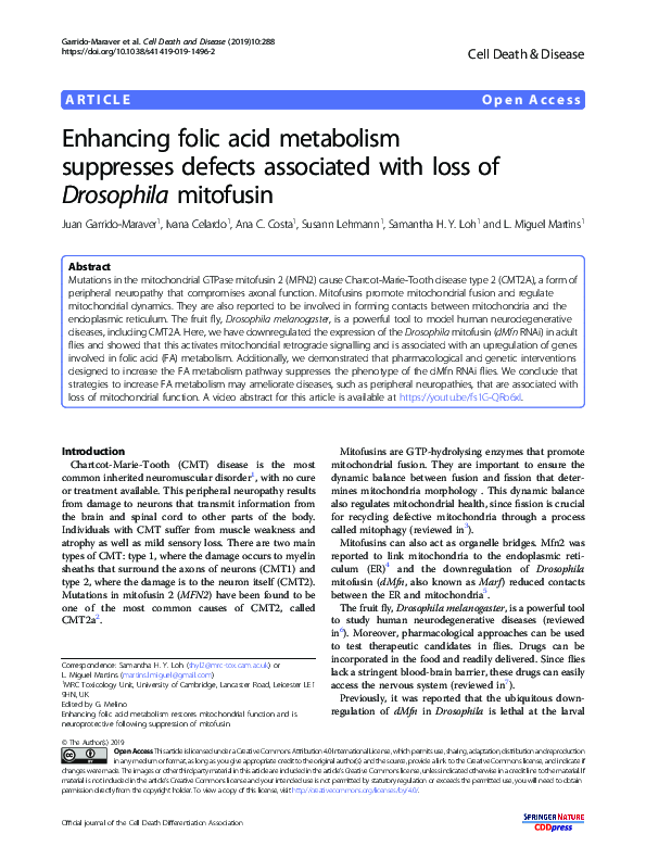 (PDF) Enhancing folic acid metabolism suppresses defects associated ...