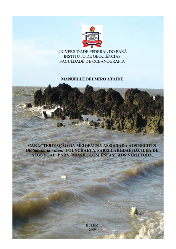 (PDF) Caracterização do meiofauna associada aos recifes de Sabellaria ...