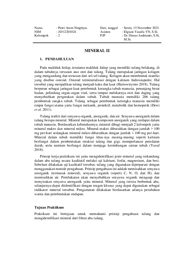 (PDF) LAPORAN PRAKTIKUM MINERAL II