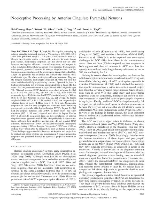 (PDF) Nociceptive Processing by Anterior Cingulate Pyramidal Neurons