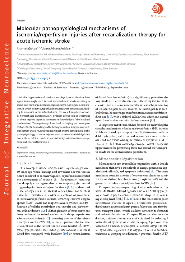 (PDF) Molecular pathophysiological mechanisms of ischemia/reperfusion ...
