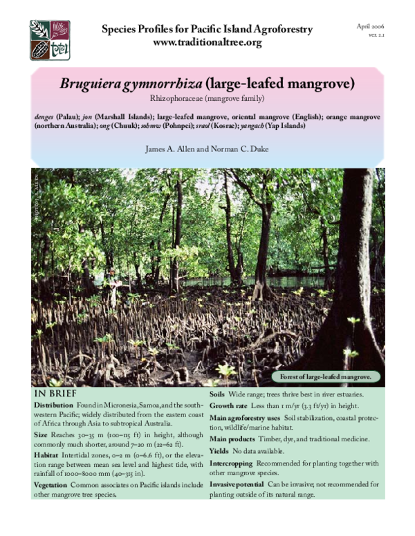 (PDF) Bruguiera gymnorrhiza (large-leafed mangrove)