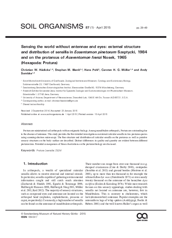 (PDF) Sensing the world without antennae and eyes: external structure ...