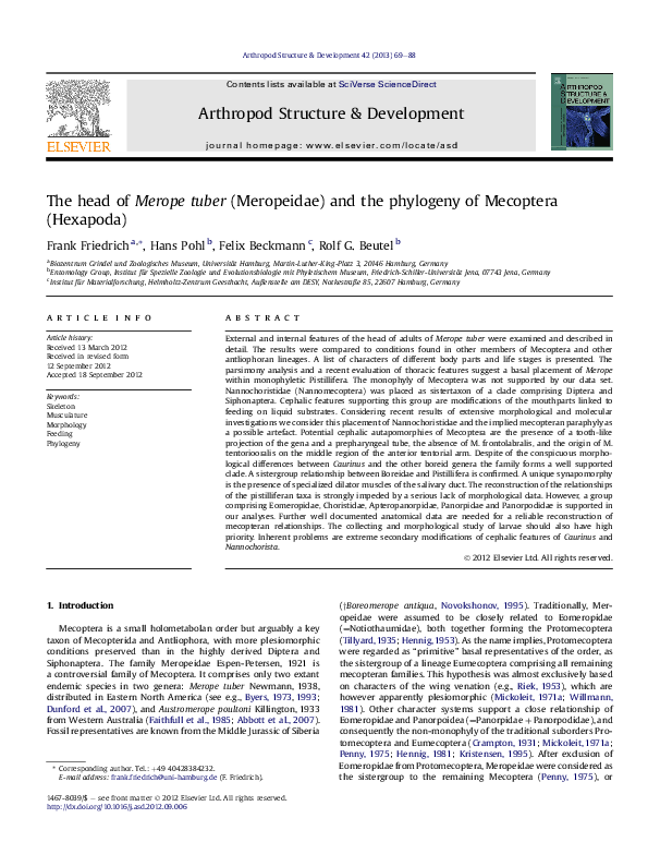(PDF) The head of Merope tuber (Meropeidae) and the phylogeny of ...