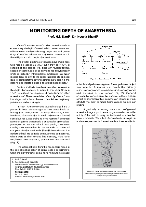 (PDF) Monitoring Depth of Anaesthesia