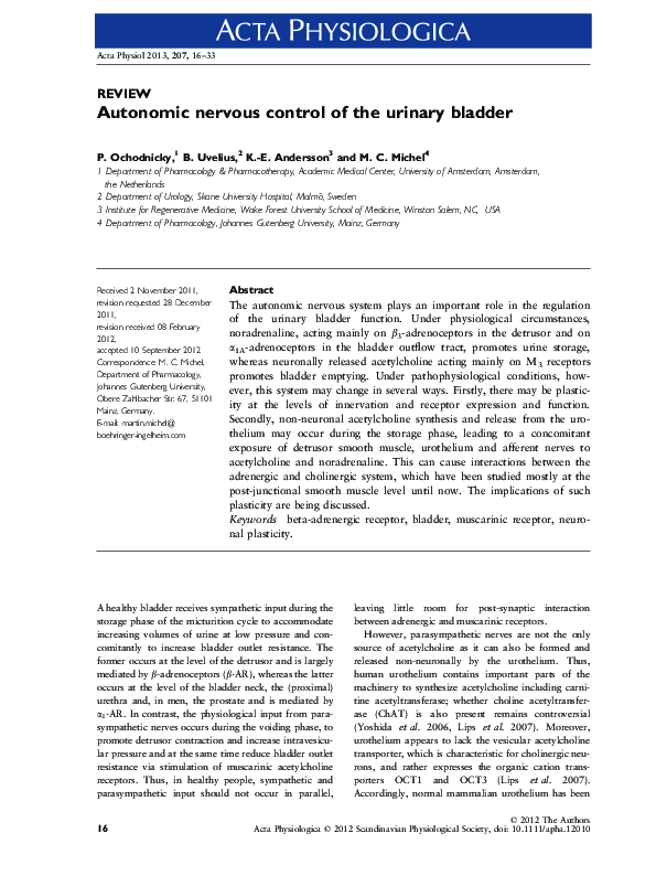 (PDF) Autonomic nervous control of the urinary bladder