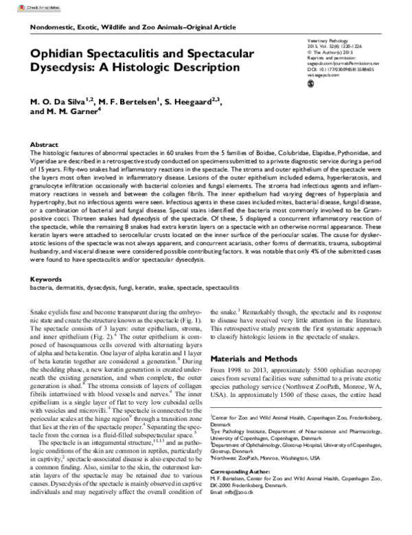 (PDF) Ophidian Spectaculitis and Spectacular Dysecdysis: A Histologic ...