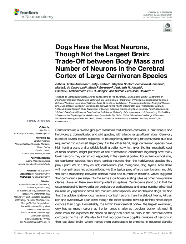 (PDF) Dogs Have the Most Neurons, Though Not the Largest Brain: Trade ...
