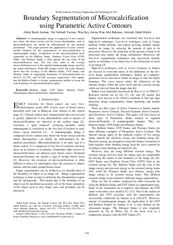 (PDF) Active Contours for Microcalcification Segmentation