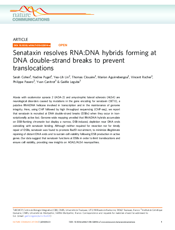 (PDF) Senataxin resolves RNA:DNA hybrids forming at DNA double-strand ...