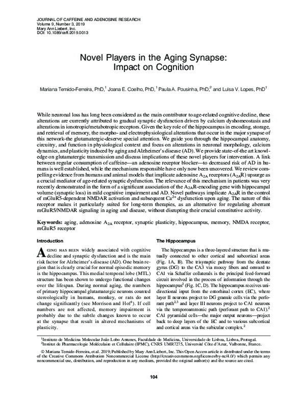 (PDF) Novel Players in the Aging Synapse: Impact on Cognition