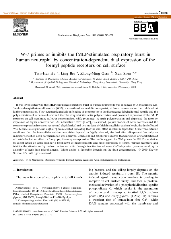 (PDF) W-7 primes or inhibits the fMLP-stimulated respiratory burst in ...