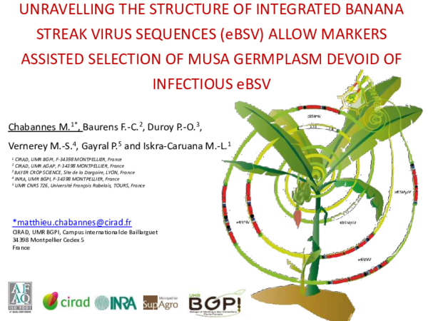 (PDF) Unravelling the structure of integrated banana streak virus ...