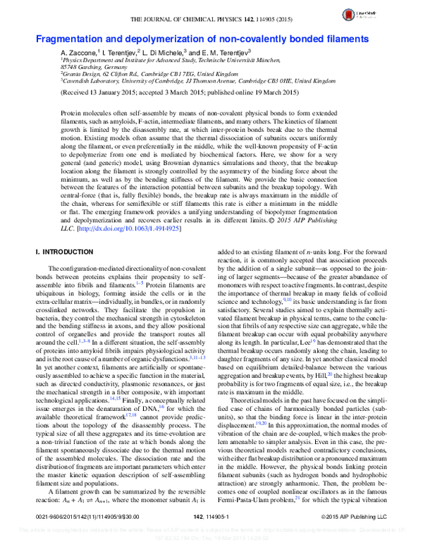 Fragmentation and depolymerization of non-covalently bonded filaments