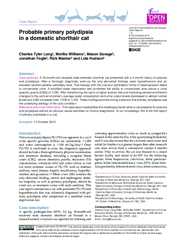 (PDF) Probable primary polydipsia in a domestic shorthair cat