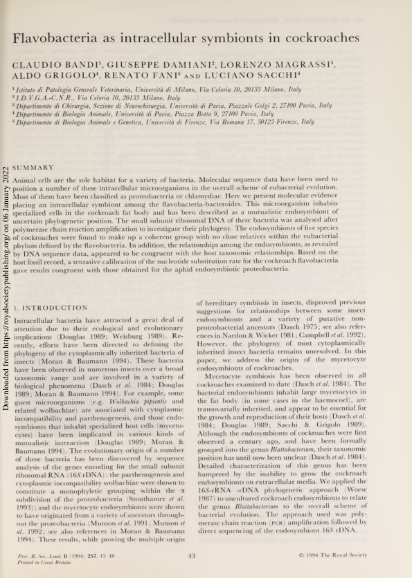 (PDF) Flavobacteria as Intracellular Symbionts in Cockroaches