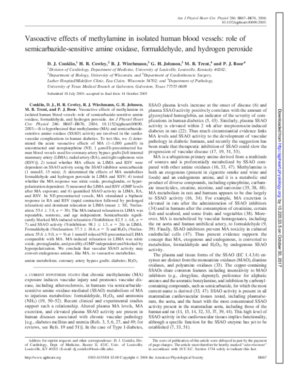(PDF) Vasoactive effects of methylamine in isolated human blood vessels ...