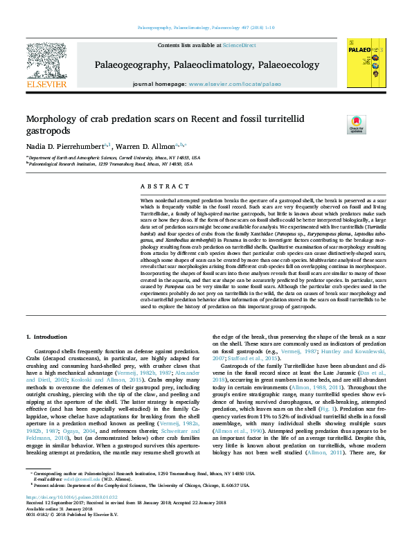 (PDF) Morphology of crab predation scars on Recent and fossil ...