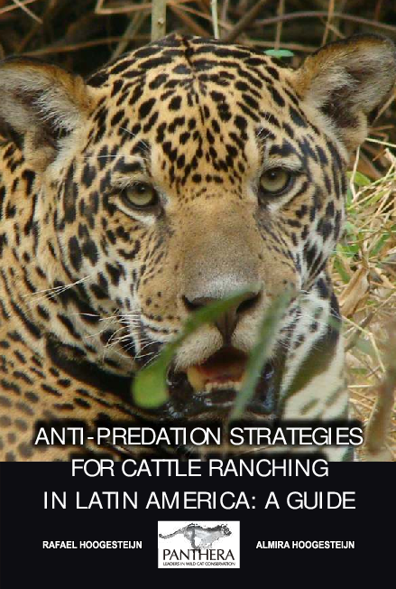 (PDF) Anti-Predation Strategies for Cattle Ranching in Latin America: A ...